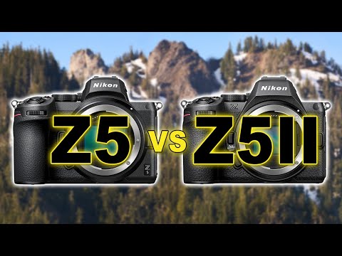 Nikon Z5 vs Z5 II: Image quality comparison (1649)
