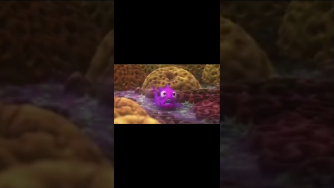 Top 5 Finding Nemo #meme