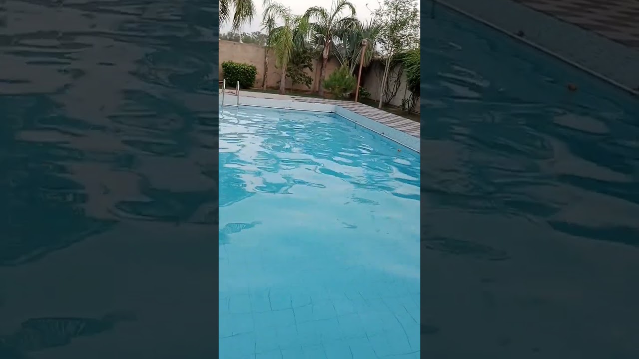 Summer Vibes|pool day|#shortsvideo #shortvideo #shorts #short #summervibes #poolparty #water
