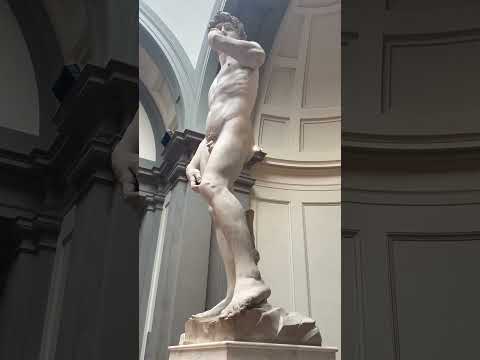 Michael Angelo statue of David. Florence Italy. #FlorenceITALY #Michelangelo #StatueDavid