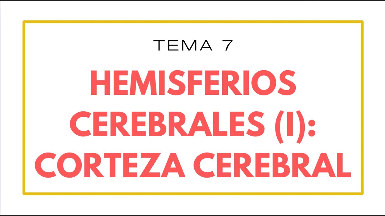 Hemisferios cerebrales (I): Corteza cerebral  | Anatomía | Psicología en podcast