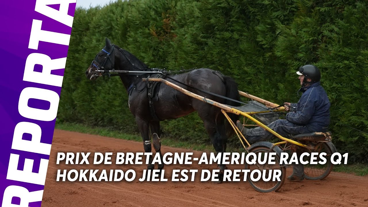 PRIX DE BRETAGNE - AMERIQUE RACES Q1 : HOKKAIDO JIEL EST DE RETOUR | Reportage chez Jean-Luc Dersoir