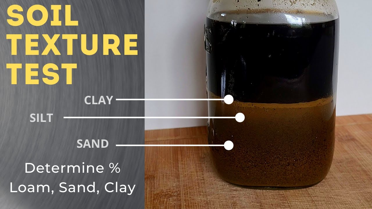 Testing Soil Texture - Mason Jar Soil Test