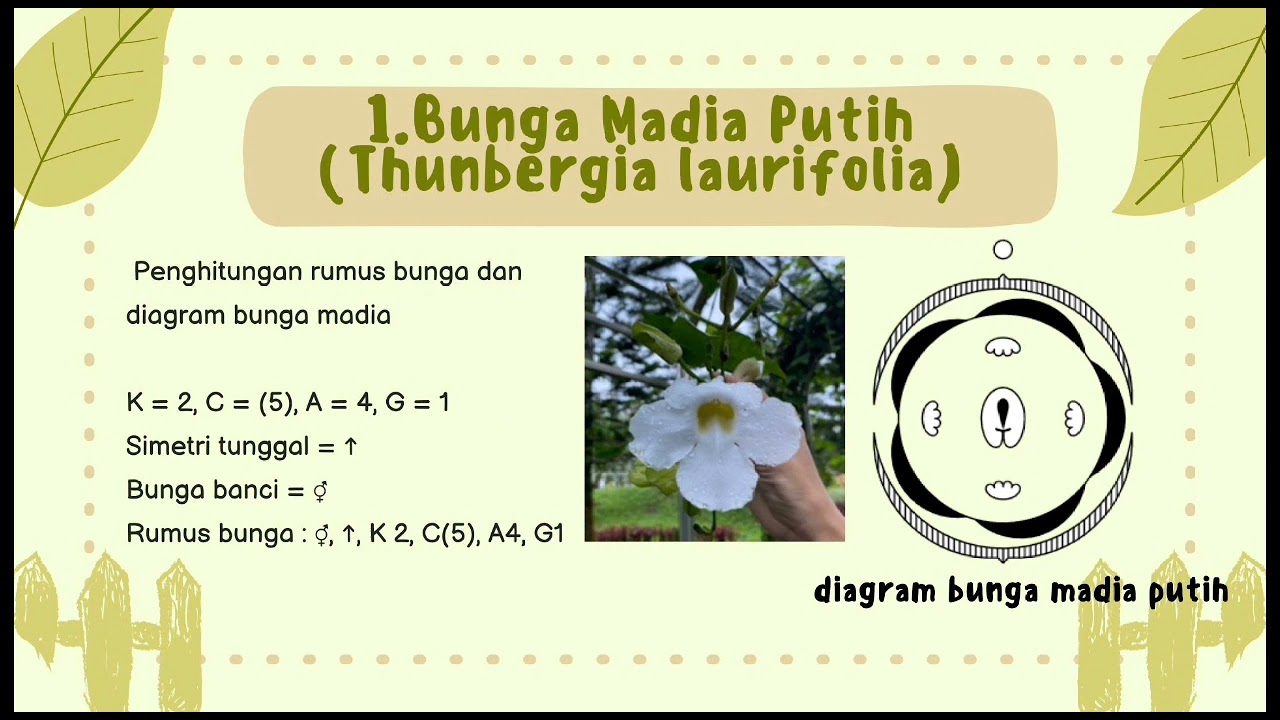 MENGITUNG RUMUS DAN DIAGRAM BUNGA