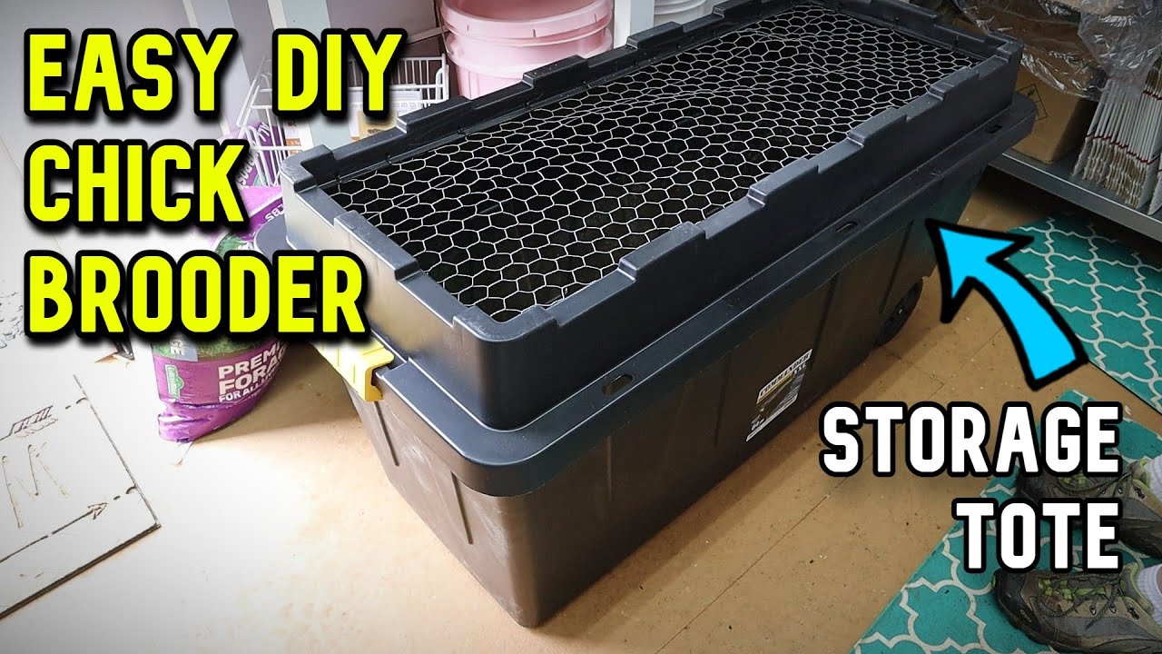 Easy DIY Chick Brooder YOU CAN BUILD!