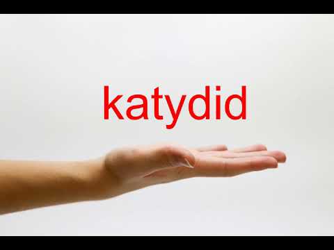 How to Pronounce katydid - American English