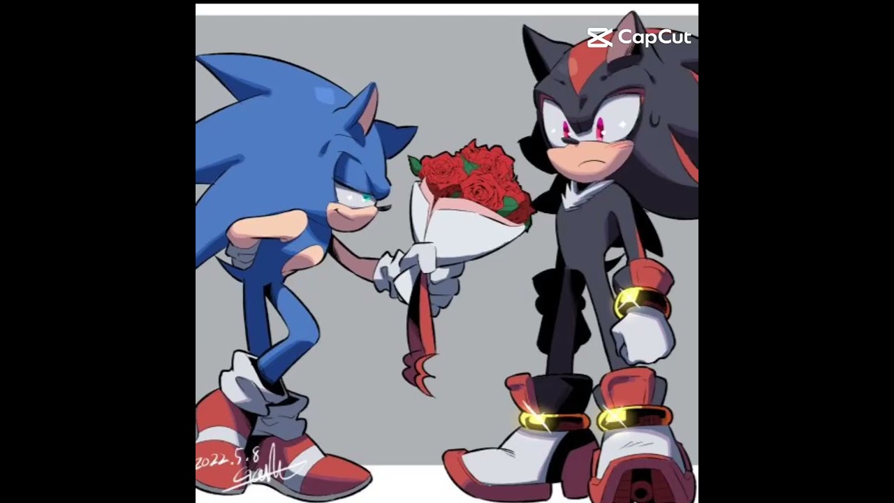 shadonic// sonic x shadow #sonadow #sonicthehedgehog #shadowthehedgehog @ToonsiteEnglish