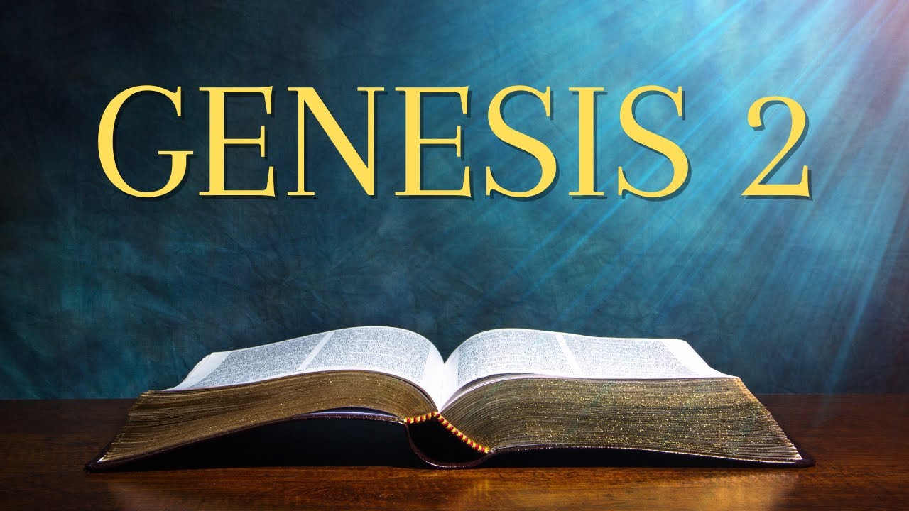 Genesis 2 – Audio Bible (NIV) | Read Along with Captions