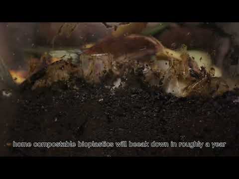 ♻️What is compostable?