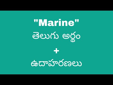 Marine meaning in telugu with examples | Marine తెలుగు లో అర్థం @Meaning in Telugu