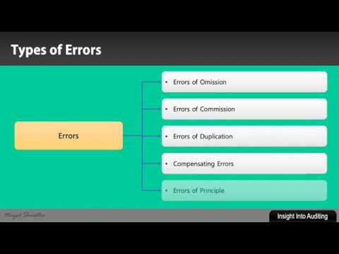 Errors (Auditing)