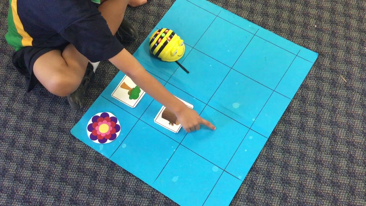 Tracing a Path - Coding with Bee Bots