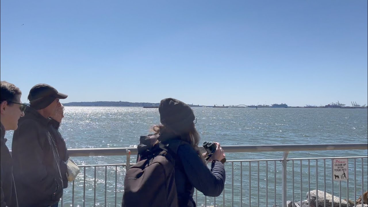 Discovering the Birds of the Brooklyn Waterfront