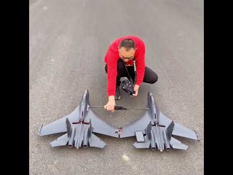 Dual aircraft remote control