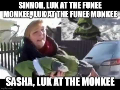 hahahhaas funee monkee gif lyrics