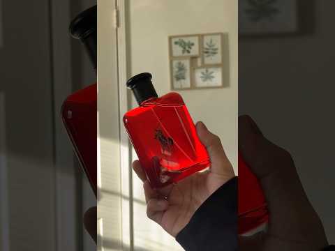 polo red by ralph lauren fragrances 💥