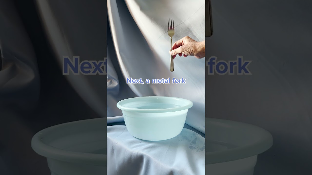 Float or Sink? - Study House Academy