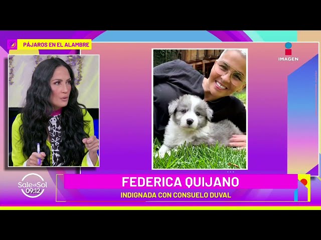 Federica Quijano responde a Consuelo Duval sobre abandono de perro