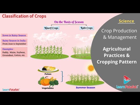Agricultural Practices and Cropping Patterns in India Video Lecture ...