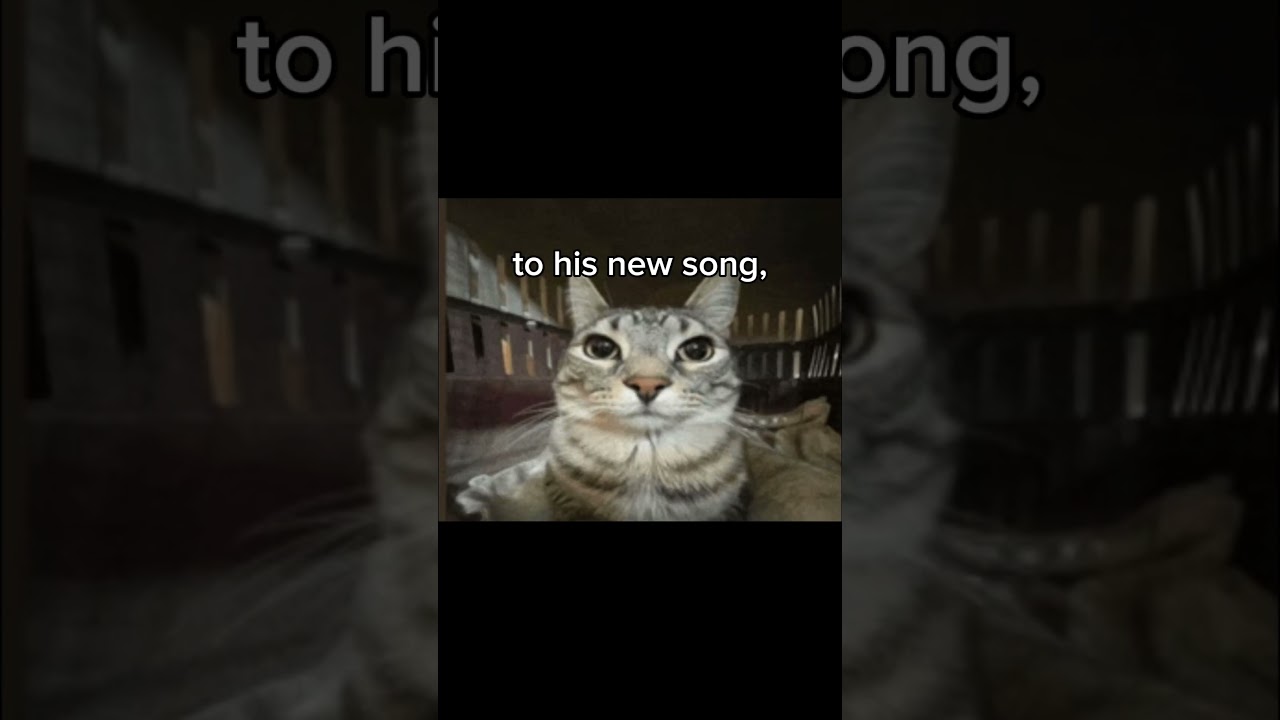 Jerry 😈😈... #trending #funny