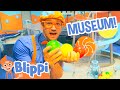 Blippi Museum Count Watch HD Mp4 Video Download Free