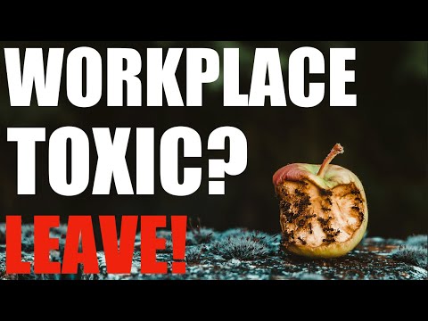 Signs of a Toxic Workplace: How to Spot a Negative Work Culture | Take Action | Stay or Leave