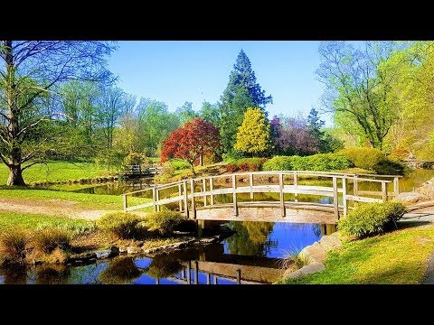 12 Best Tourist Attractions in Maryland USA