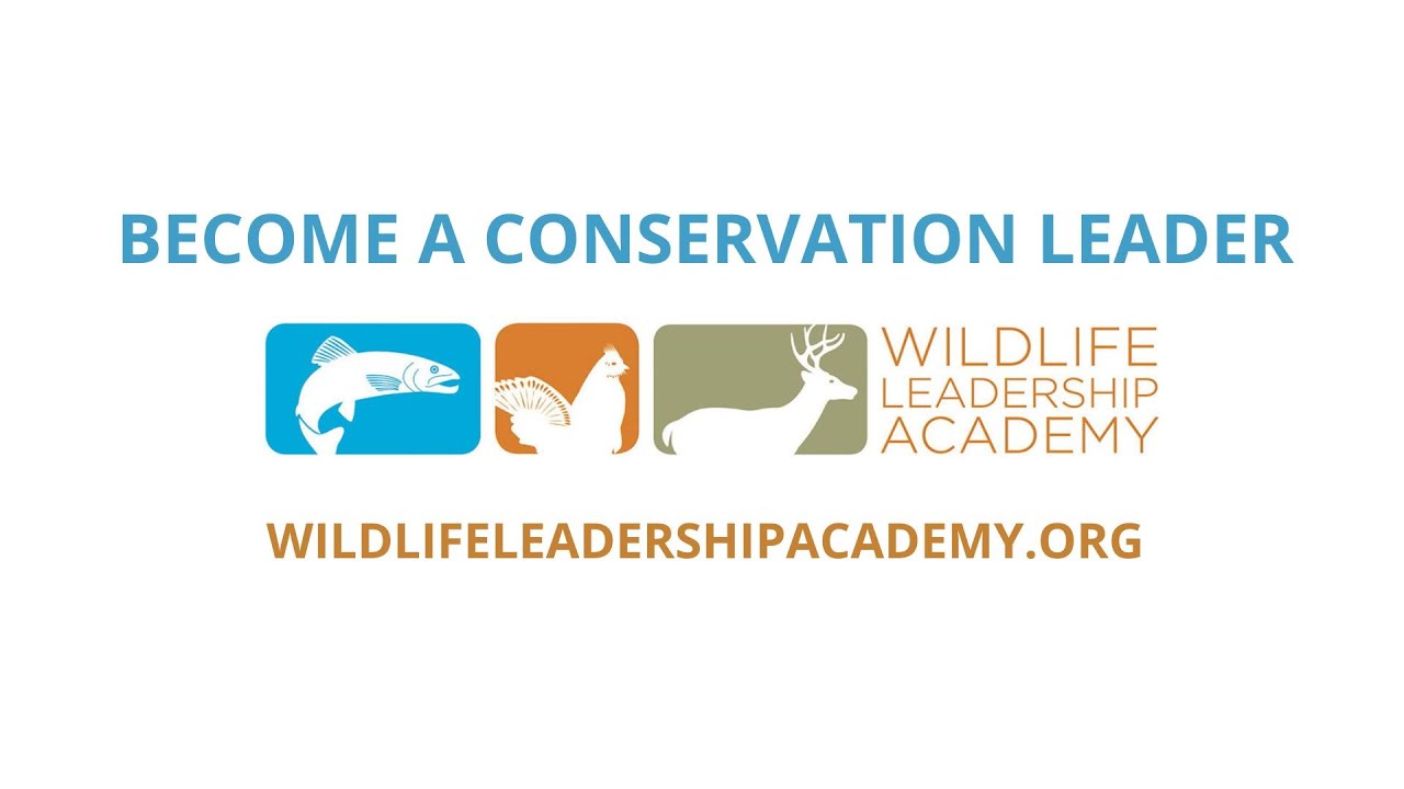 Wildlife Leadership Academy - Become a Conservation Leader