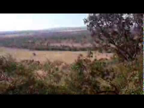 Leataylorpastoral BLUE RIBBON FATENING PROPERTY Central Queensland