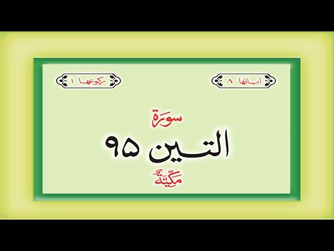 Surah 95 Chapter 95 At Tin Quran with Urdu Hindi Translation