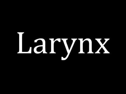 How to pronounce Larynx