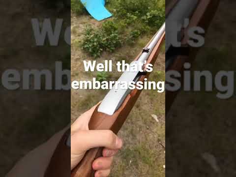 Ruger 10/22 fail