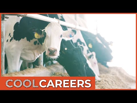 Cool Careers - Episode 16: Dairy Farmer | Short Version