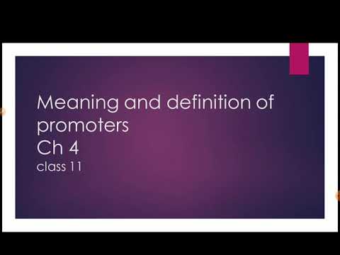 Meaning and definition of promoters , corporate organisation, chapter 4