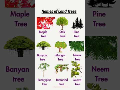 Names Of Land Trees