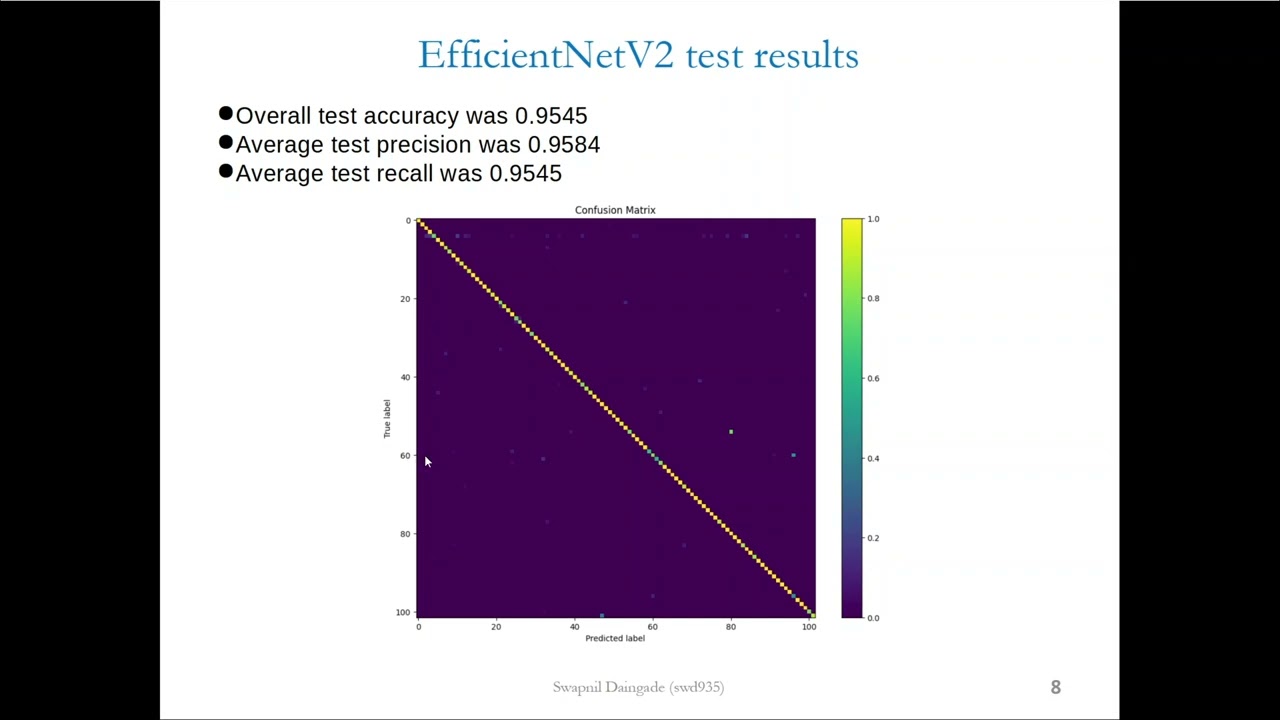 CSCI S 89 Image classification on Caltech101 dataset using transfer learning