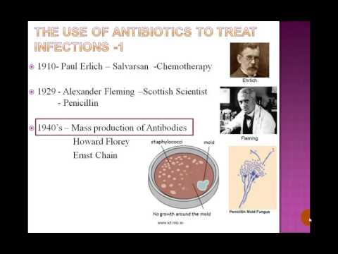 6- The Second Golden Age of Microbiology