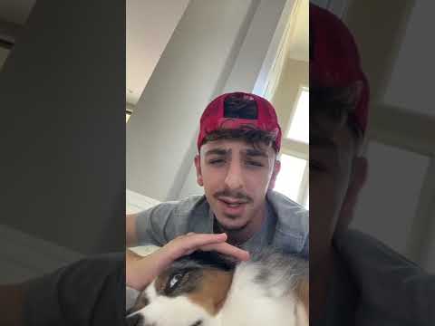 FaZe Rug’s *NEW* Chihuahua