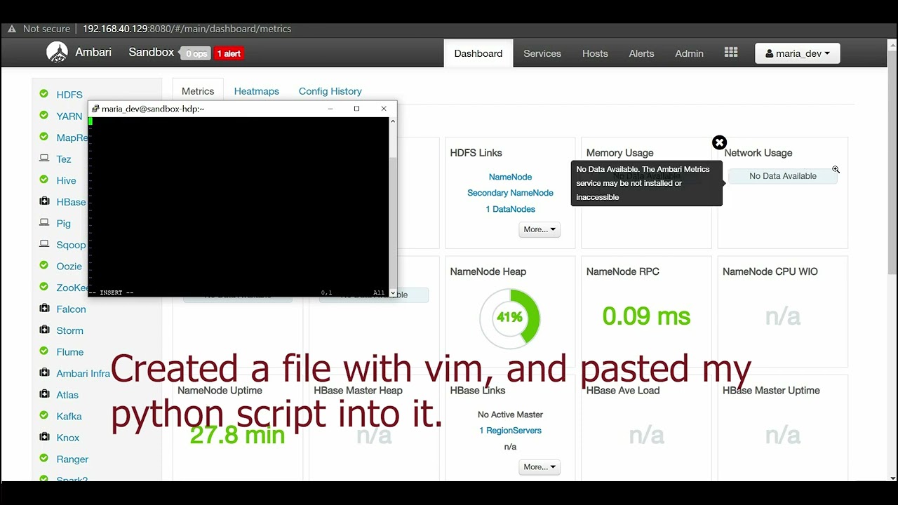 Hadoop - Using HDFS  & Python Quering Data