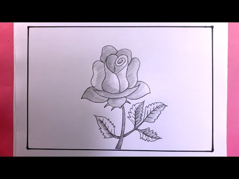 How To Draw Rose Flower Step By Step/Rose Easy Drawing
