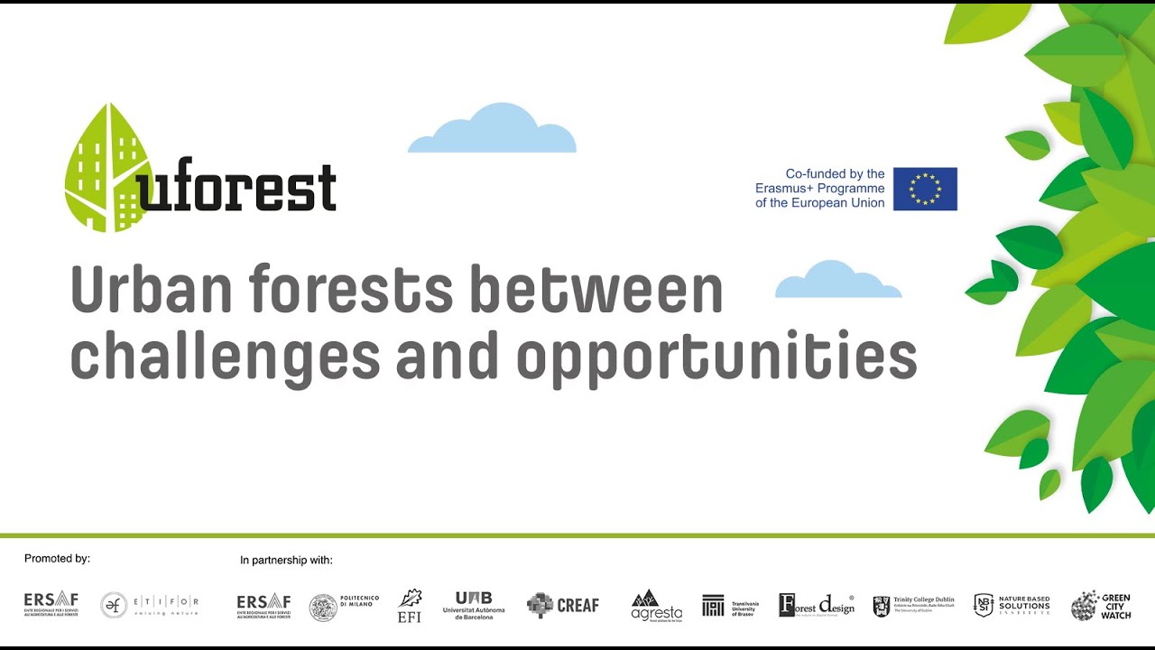 Urban forests between challenges and opportunities