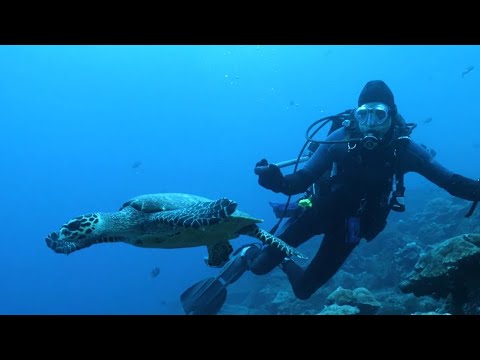 Fisk Johnson: Chairman and CEO of SC Johnson | Sustainability Advocate