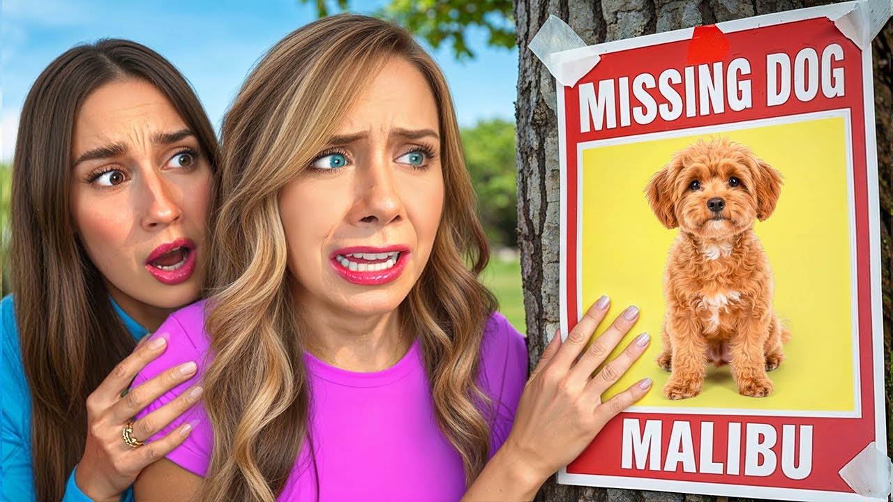 MY DOG WENT MISSING...