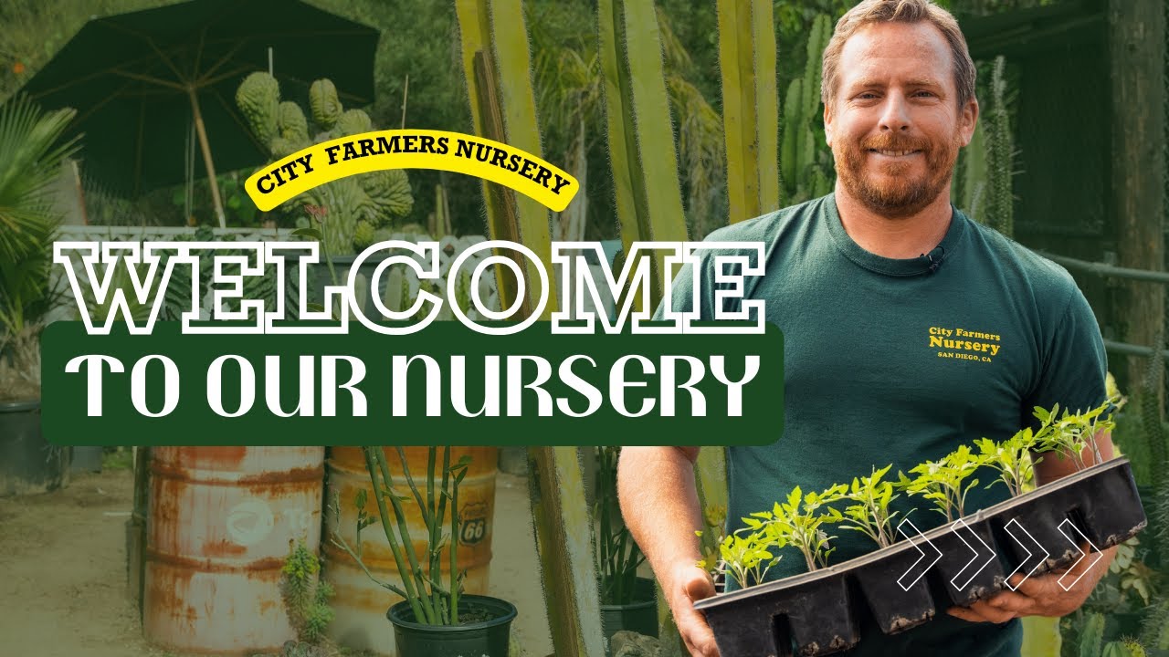 Welcome To City Farmers Nursery