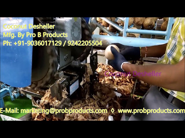 Coconut Processing Machines - Coconut Chips Slicing Machine ...