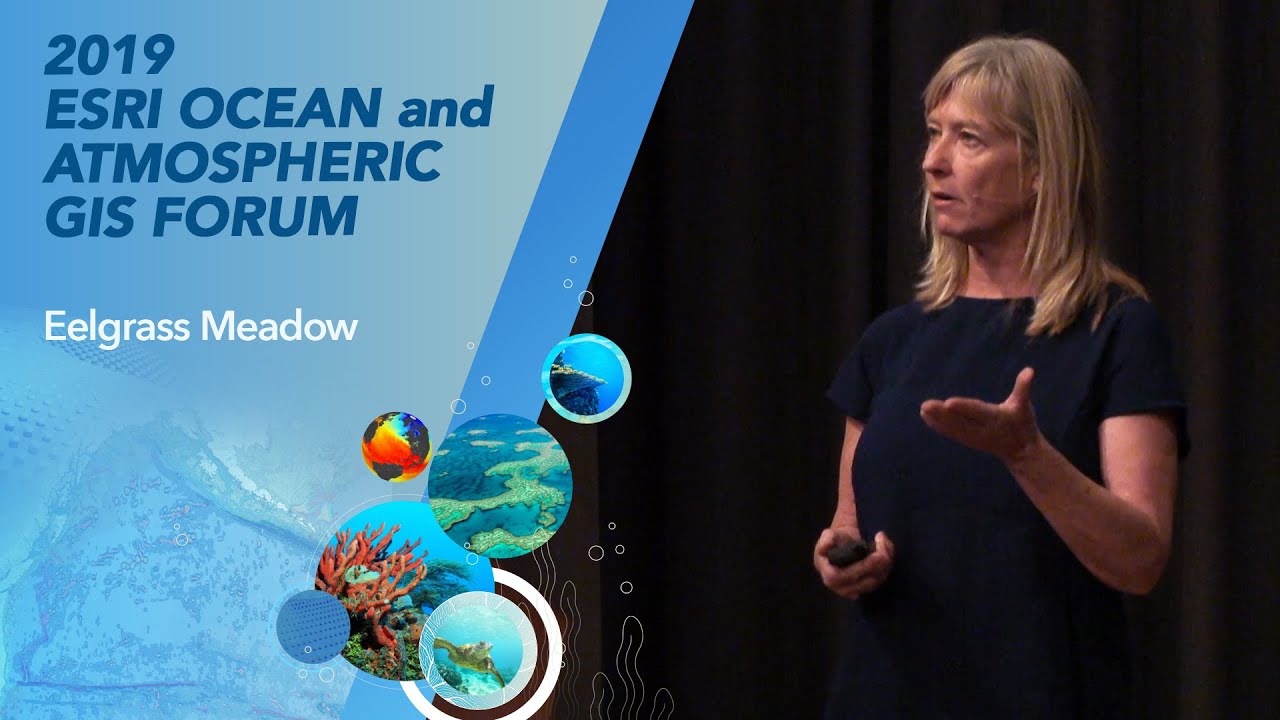 Scaling from Plot to Landscape Scale in an Eelgrass Meadow