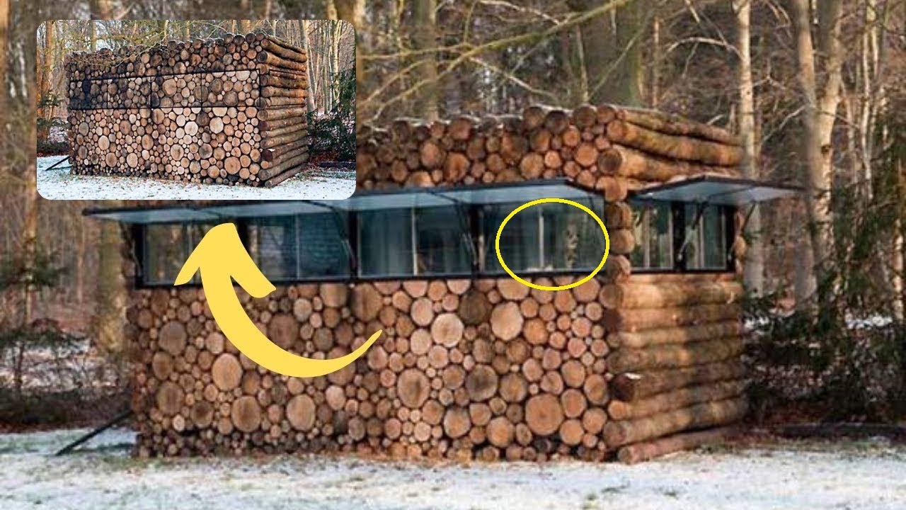It Might Look Like A Normal Stack Of Firewood. But When You Step Closer… WHOA!