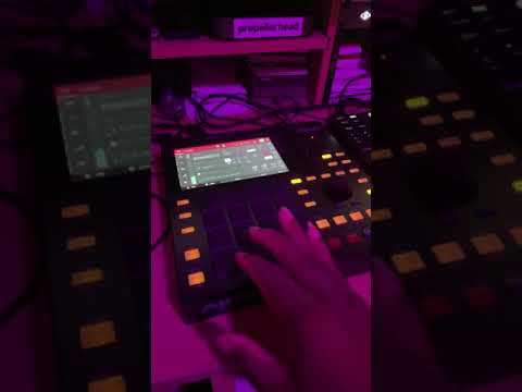 Akai MPC One: Making a Beat (SAMPLE)