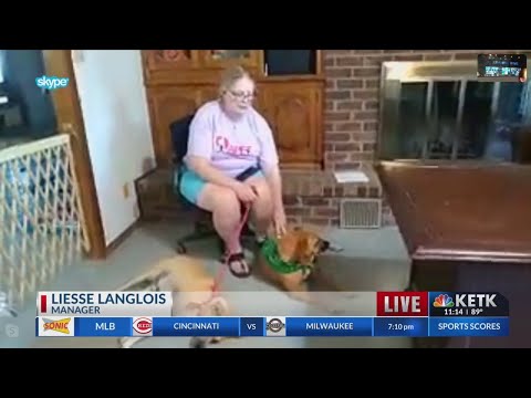 APET-SPCA Animal Center of Mineloa Talks Pet Adoption and Clear The Shelters
