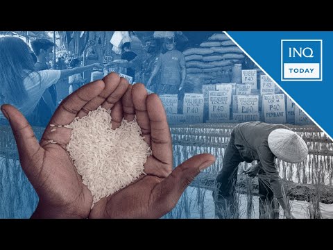 Max suggested retail price of imported rice down to P49 starting March | INQToday